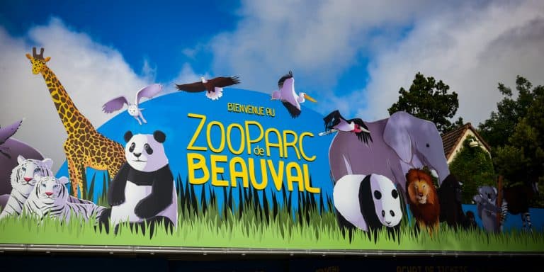 Les meilleurs zoos de France à visiter cet été